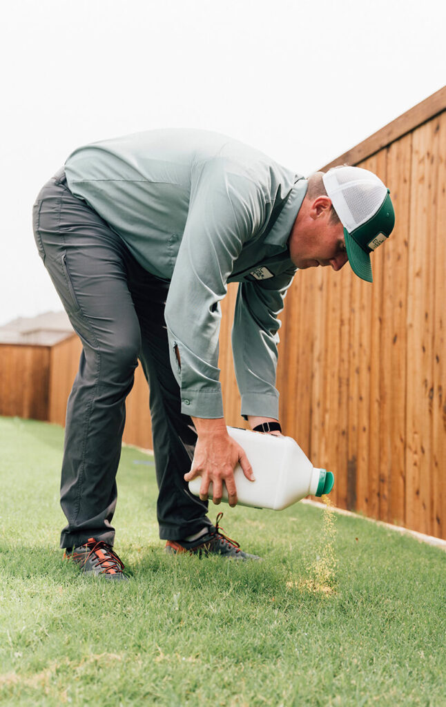 Pest Control Service in Fort Worth Dallas | Pest Control Company